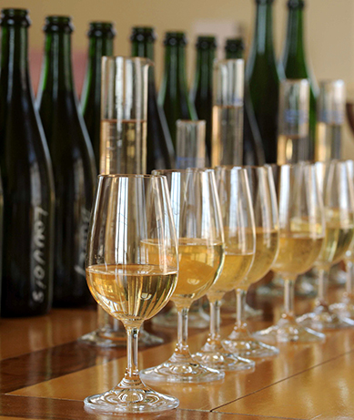 Kdo je to Enolog? - Champagne.cz