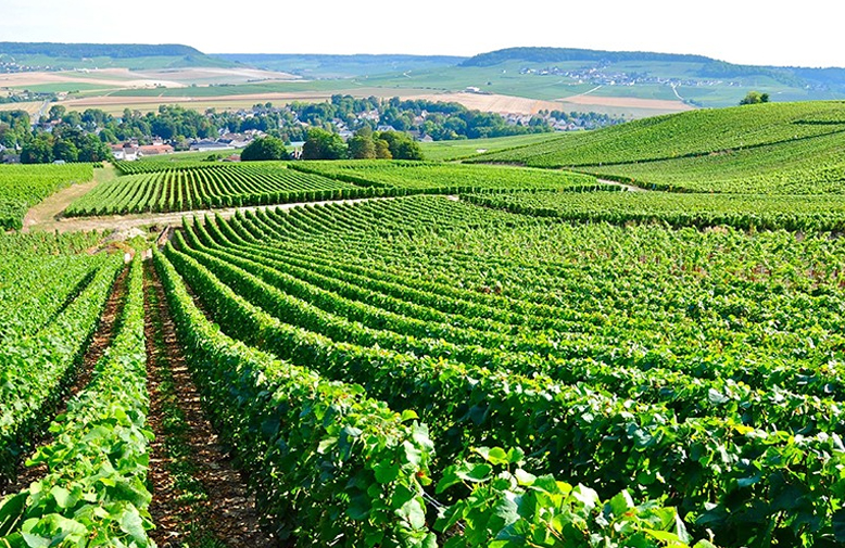 Geografie Champagne - Champagne.cz